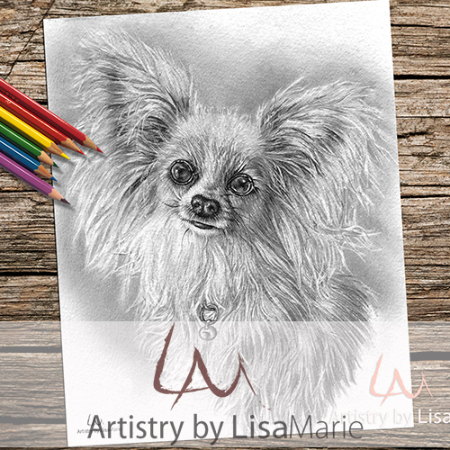 Papillon Dog Coloring Book Page – Artistry By Lisa Marie