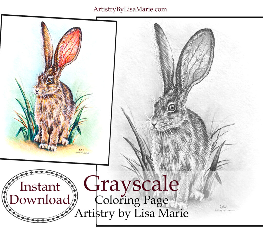 Wild Hare Grayscale Printable Coloring Book Page – Artistry By Lisa Marie